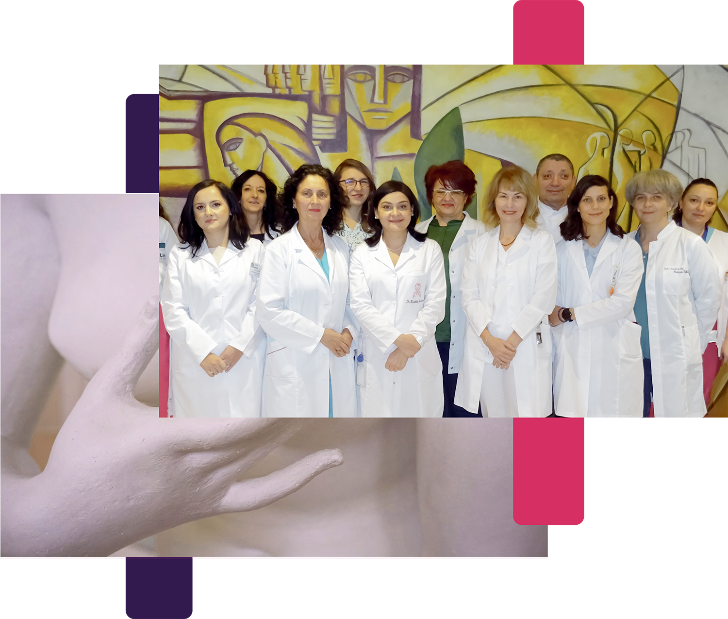 Comisii - Centrul de tumori mamare - Cluj Napoca